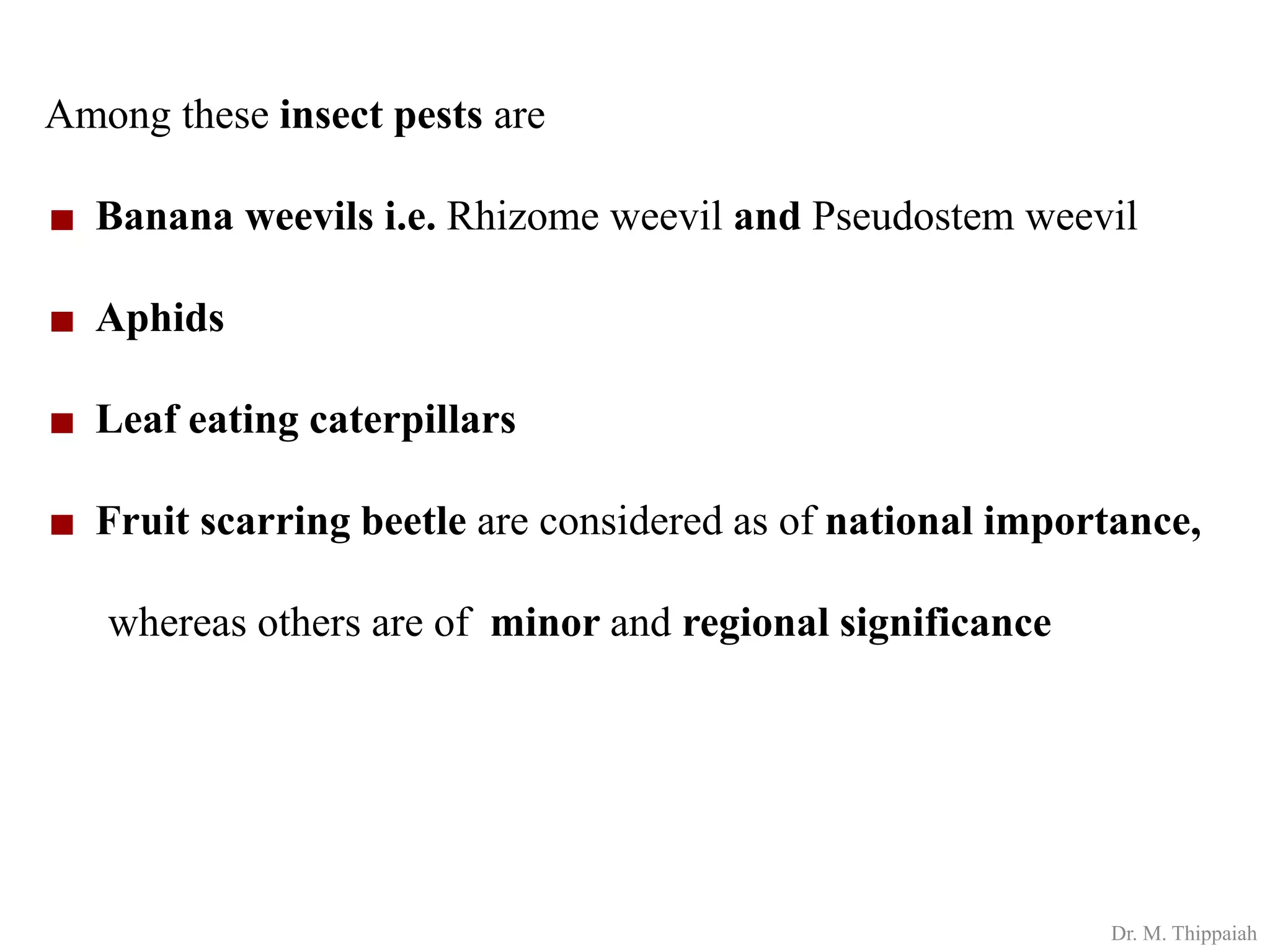 Insect pests of banana | PDF