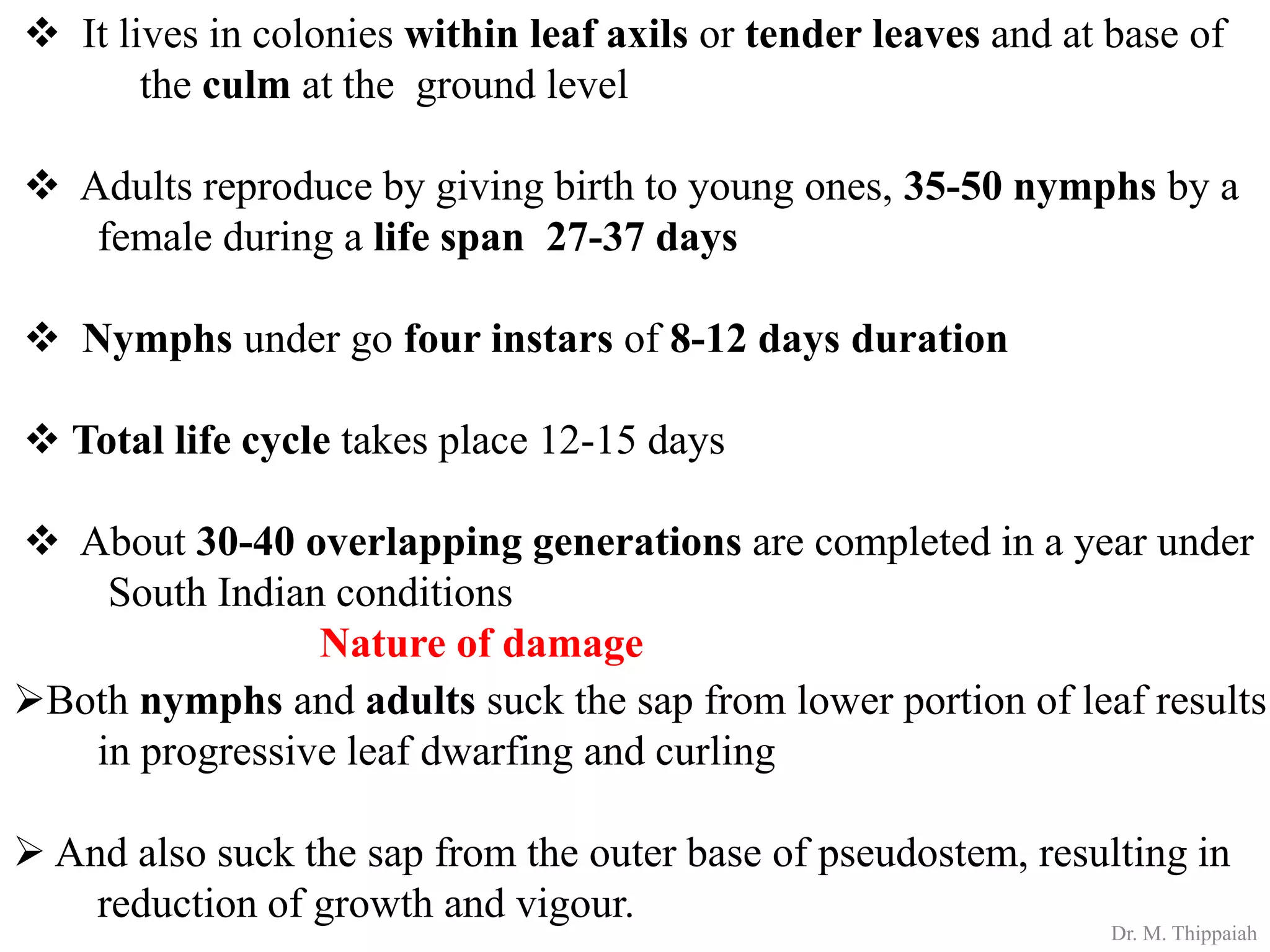 Insect pests of banana | PDF