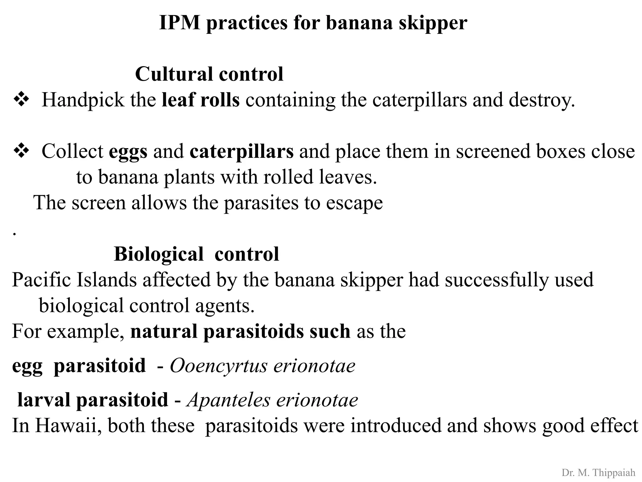 Insect pests of banana | PDF
