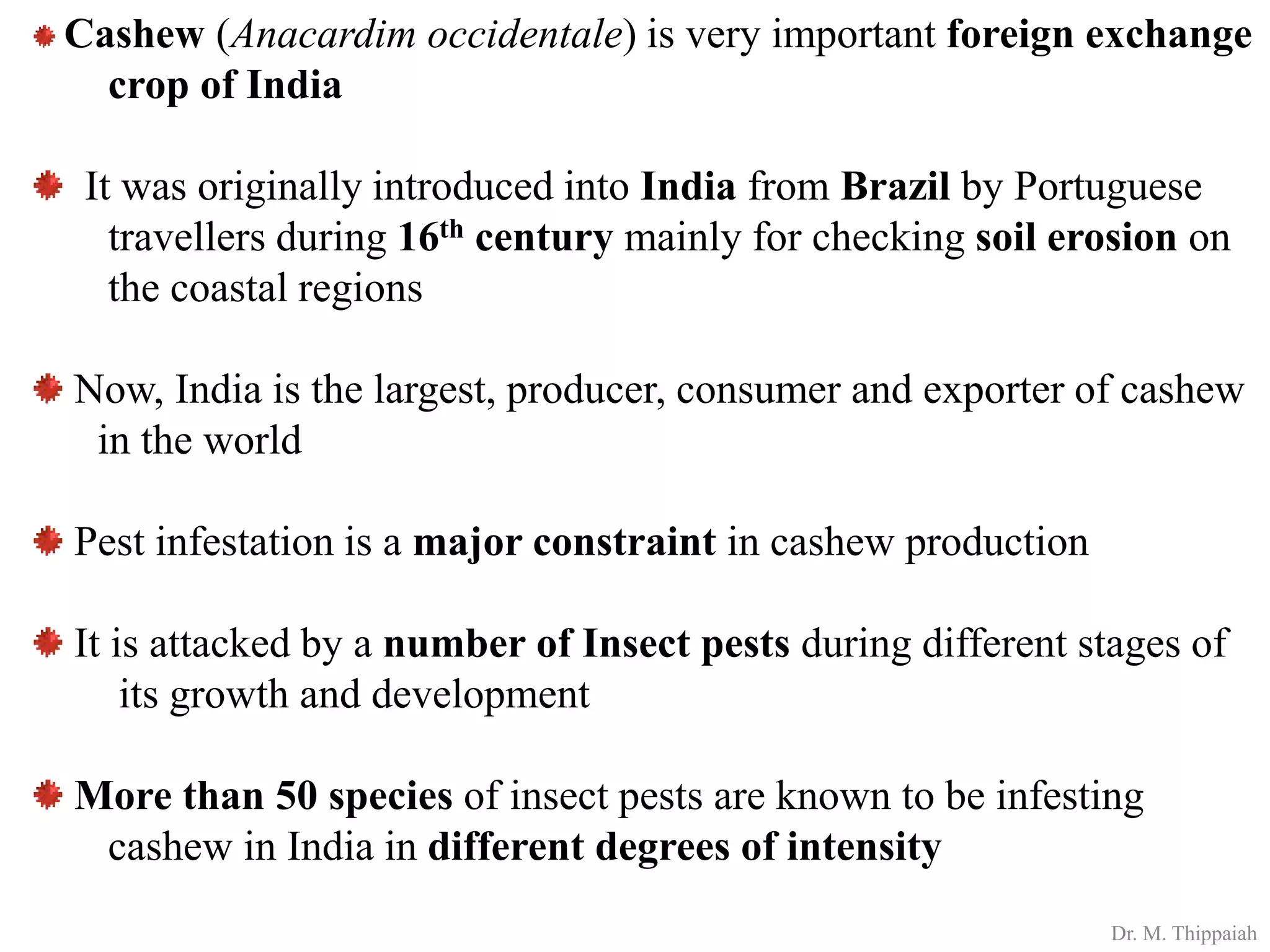 Insect pests of cashew | PDF