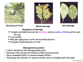 Insect pests of citrus and their control | PDF
