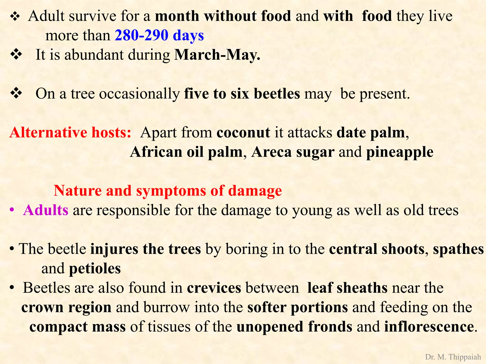 Insect pests of Cococnut | PDF
