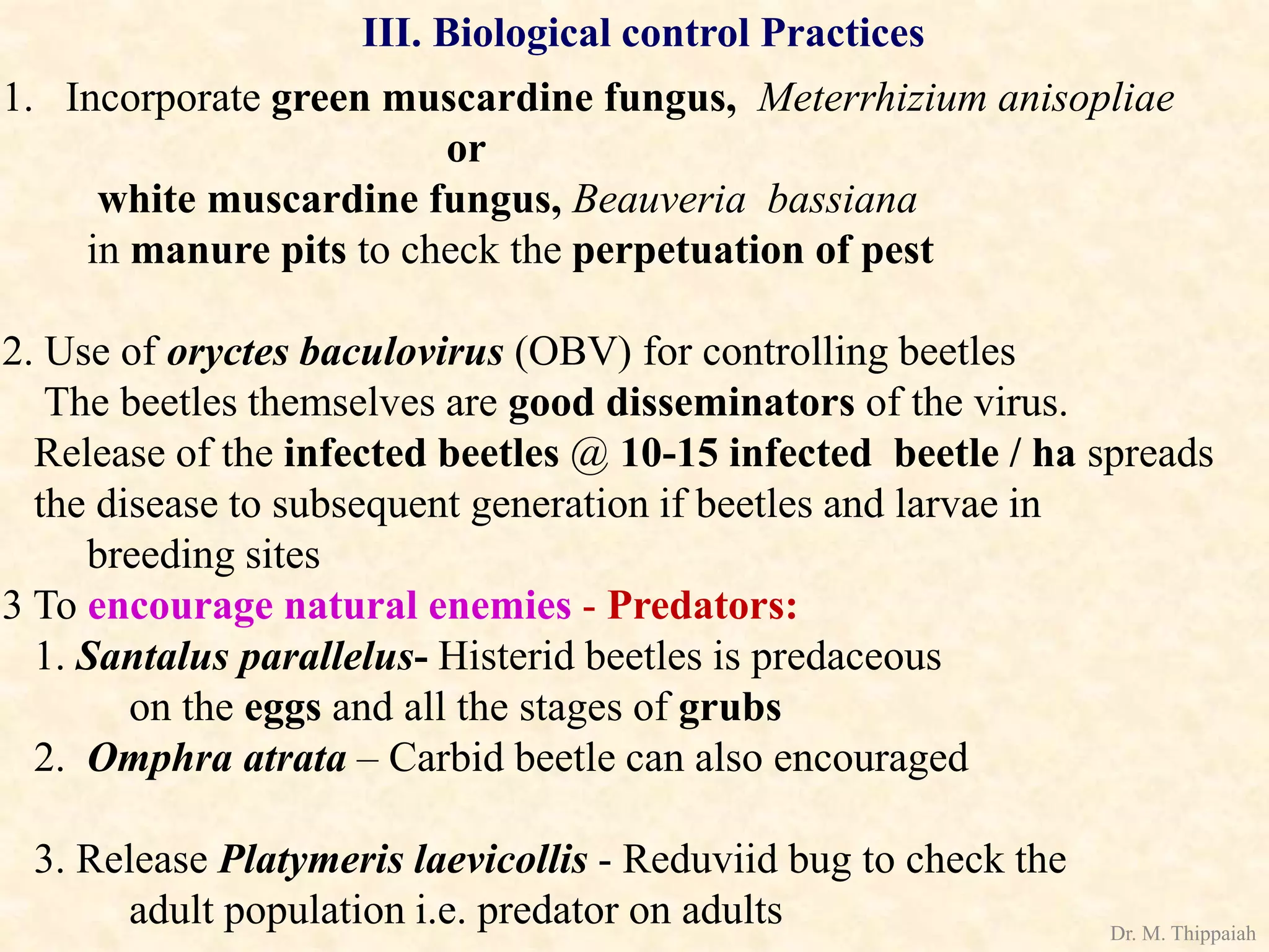 Insect pests of Cococnut | PDF
