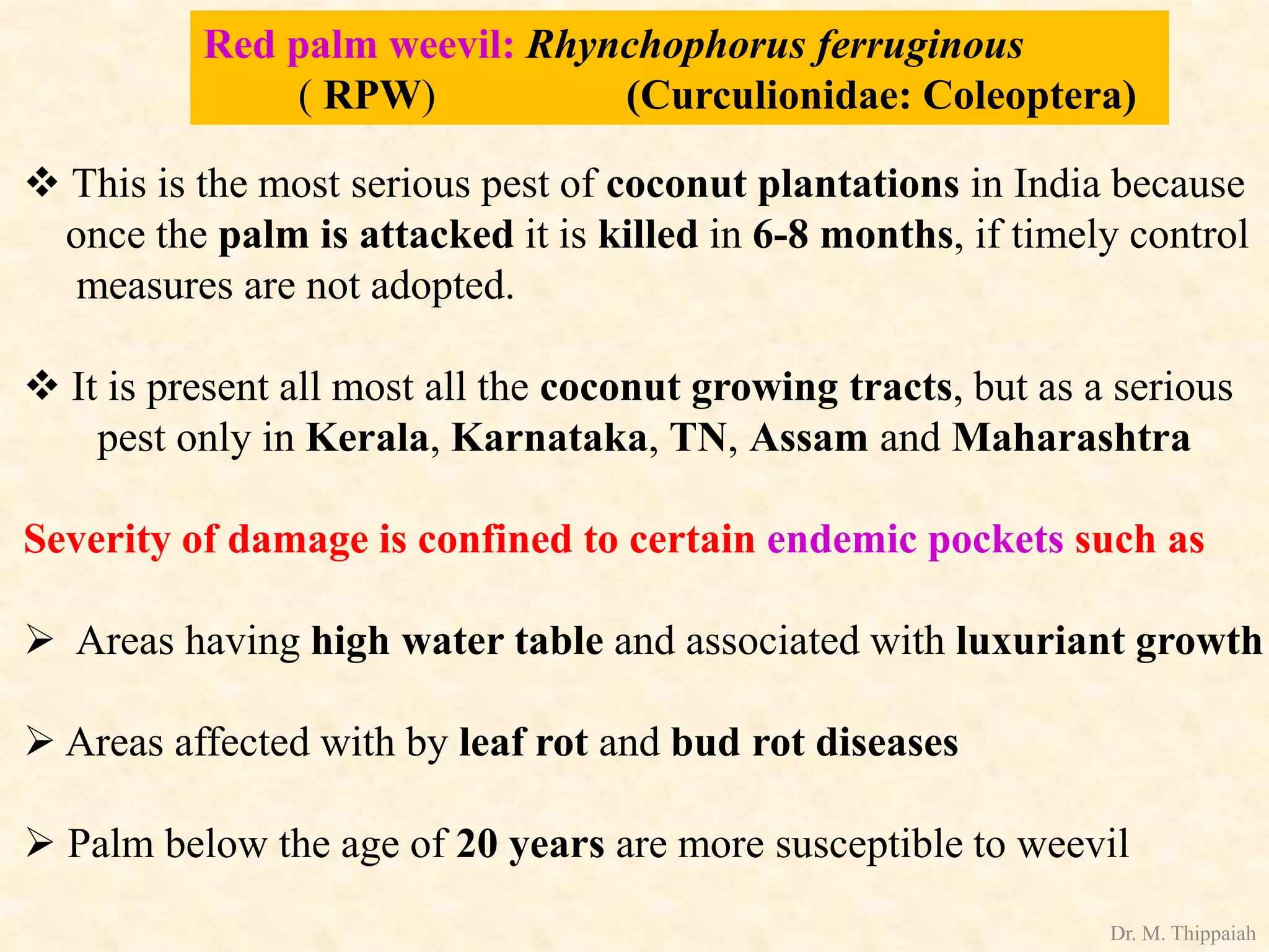Insect pests of Cococnut | PDF