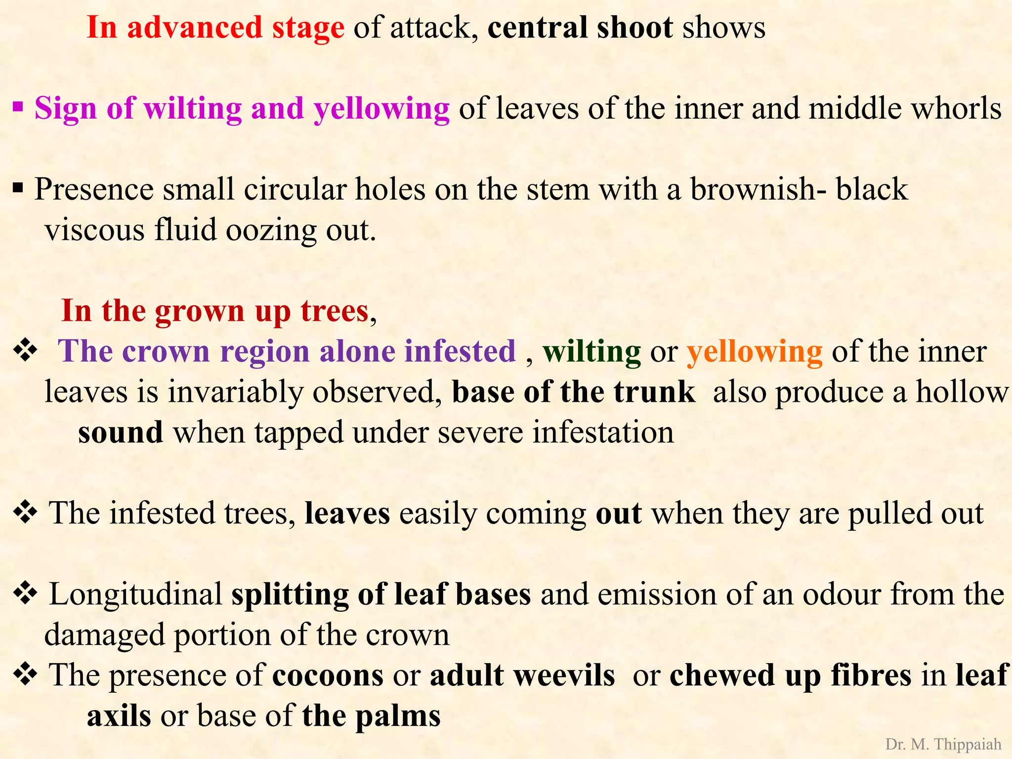 Insect pests of Cococnut | PDF