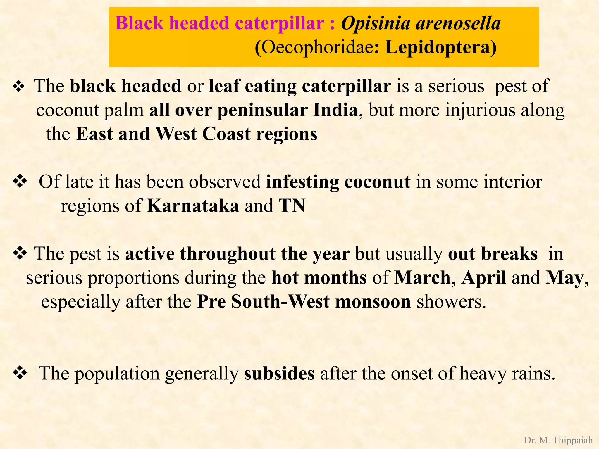 Insect pests of Cococnut | PDF