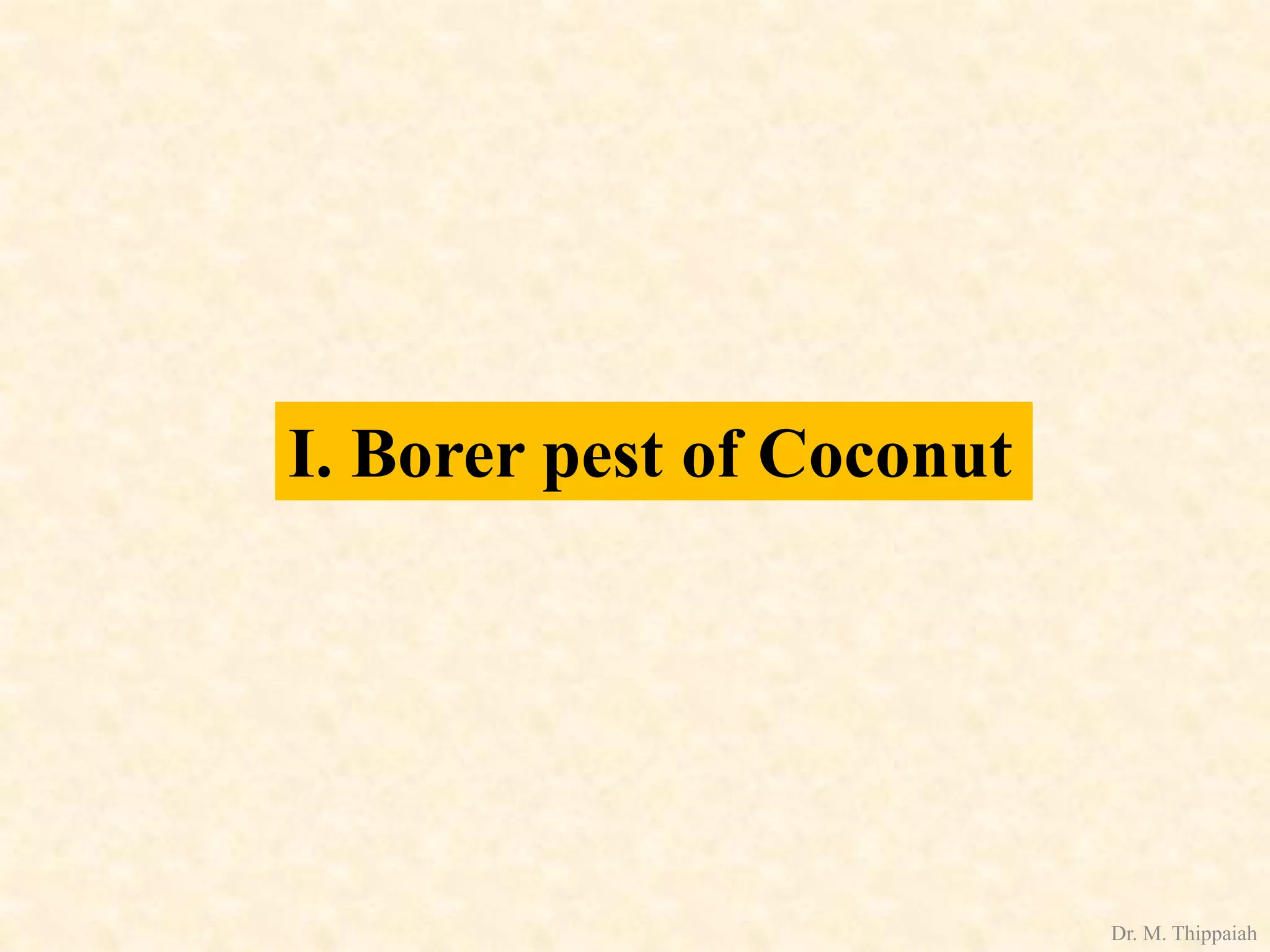 Insect pests of Cococnut | PDF