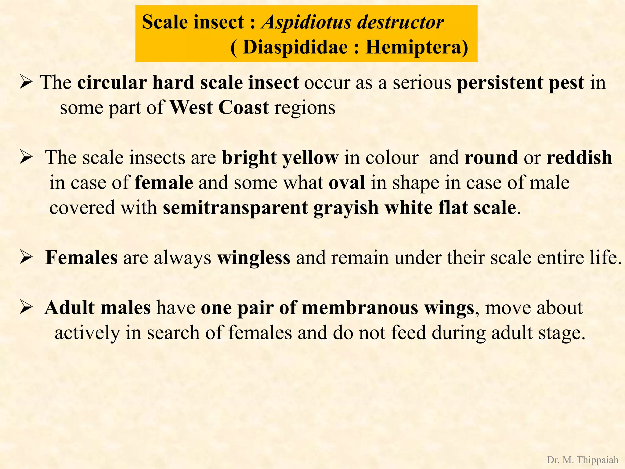 Insect pests of Cococnut | PDF