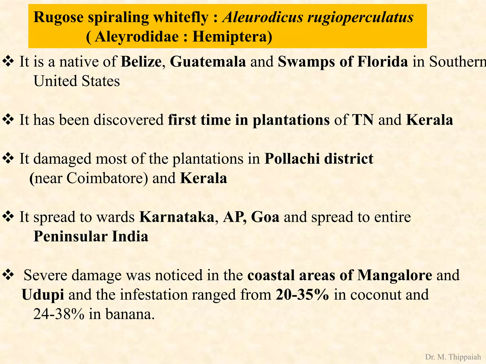 Insect pests of Cococnut | PDF