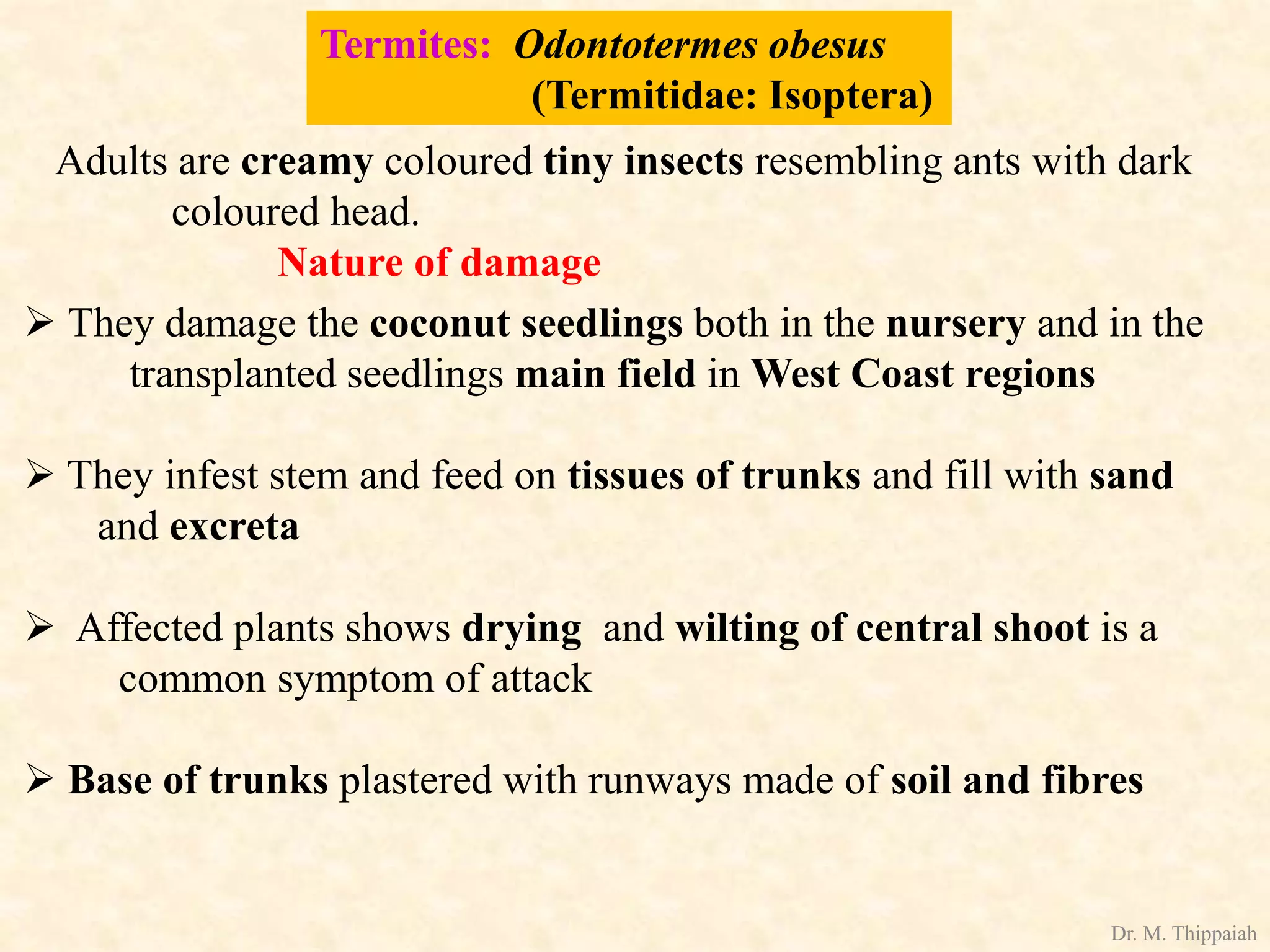 Insect pests of Cococnut | PDF