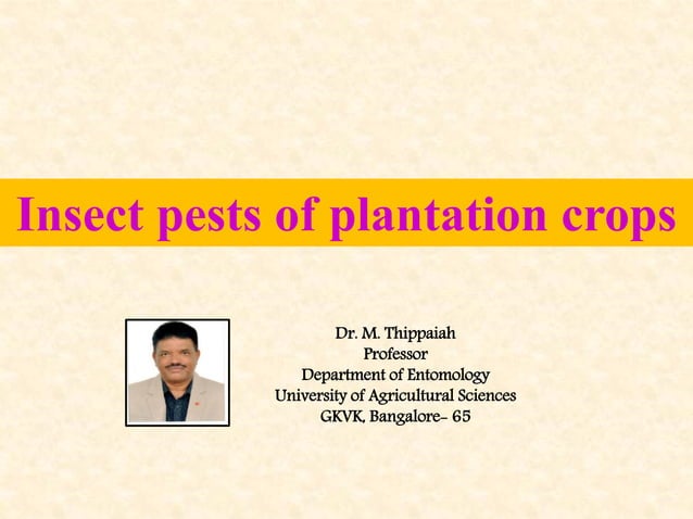 Insect pests of Cococnut | PDF