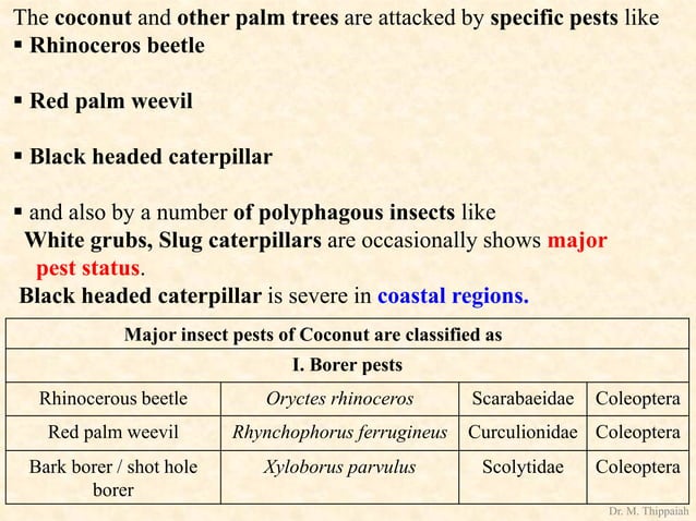 Insect pests of Cococnut | PDF