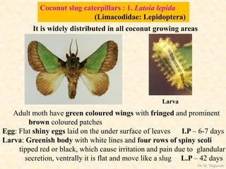 Insect pests of Cococnut | PDF