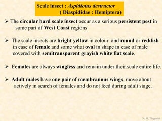 Insect pests of Cococnut | PDF