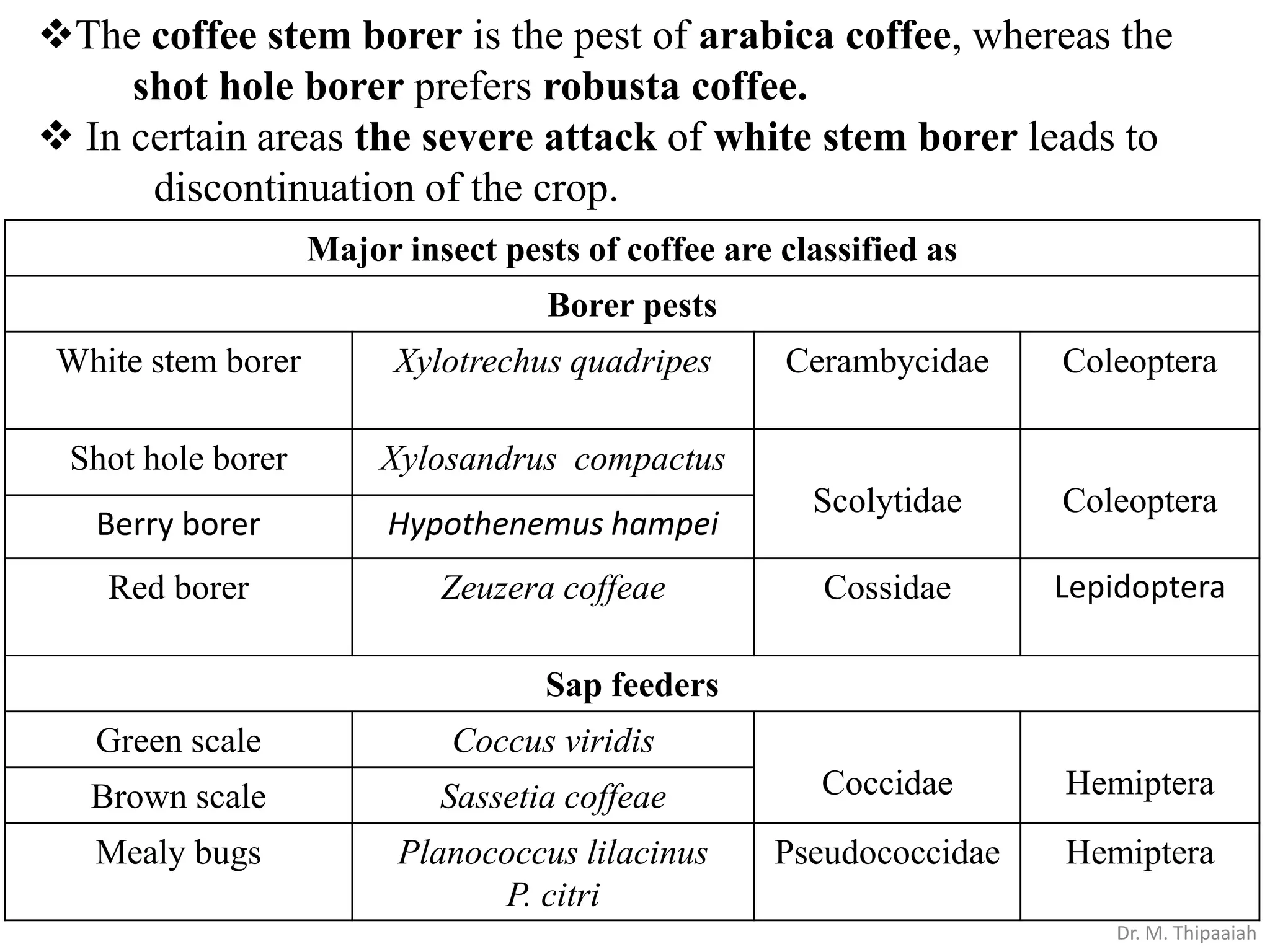 Insect pests of coffee | PDF