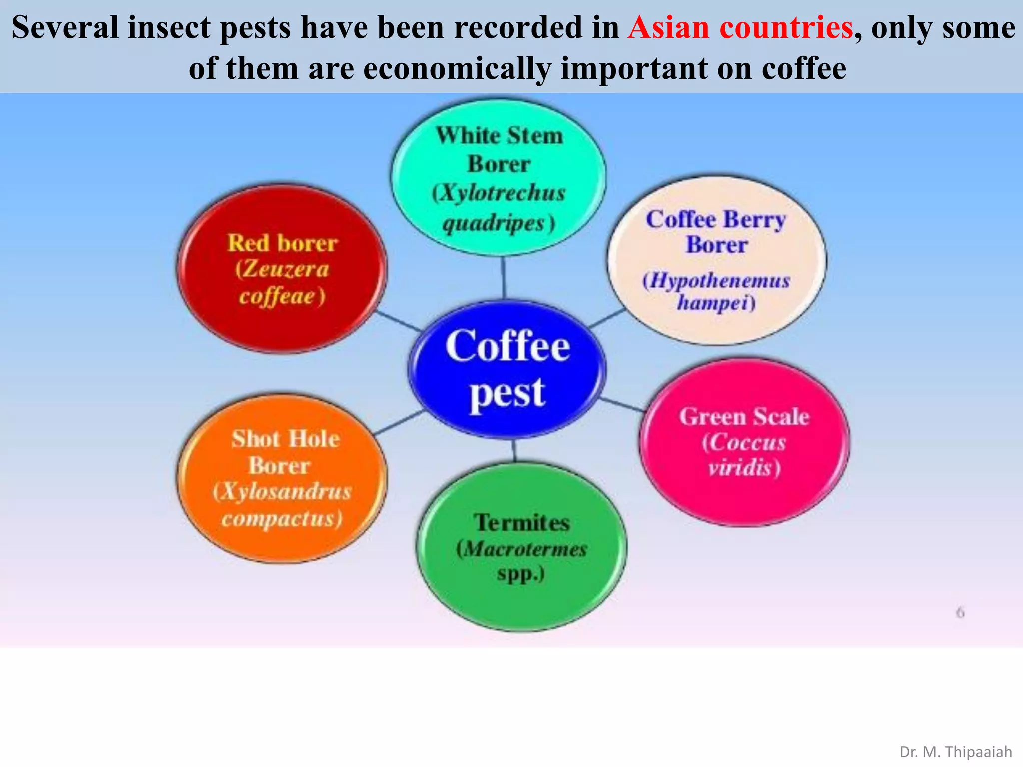 Insect pests of coffee | PDF
