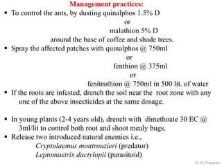 Insect pests of coffee | PDF