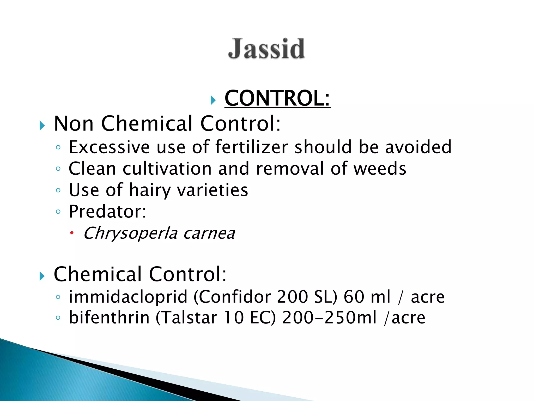 Insect pests of cotton Pakistan Jassid Aphid Whitefly Thrips Red Cotton ...