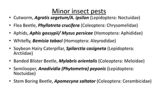 insectpestsofcucurbits-150702174843-lva1-app6891.pdf
