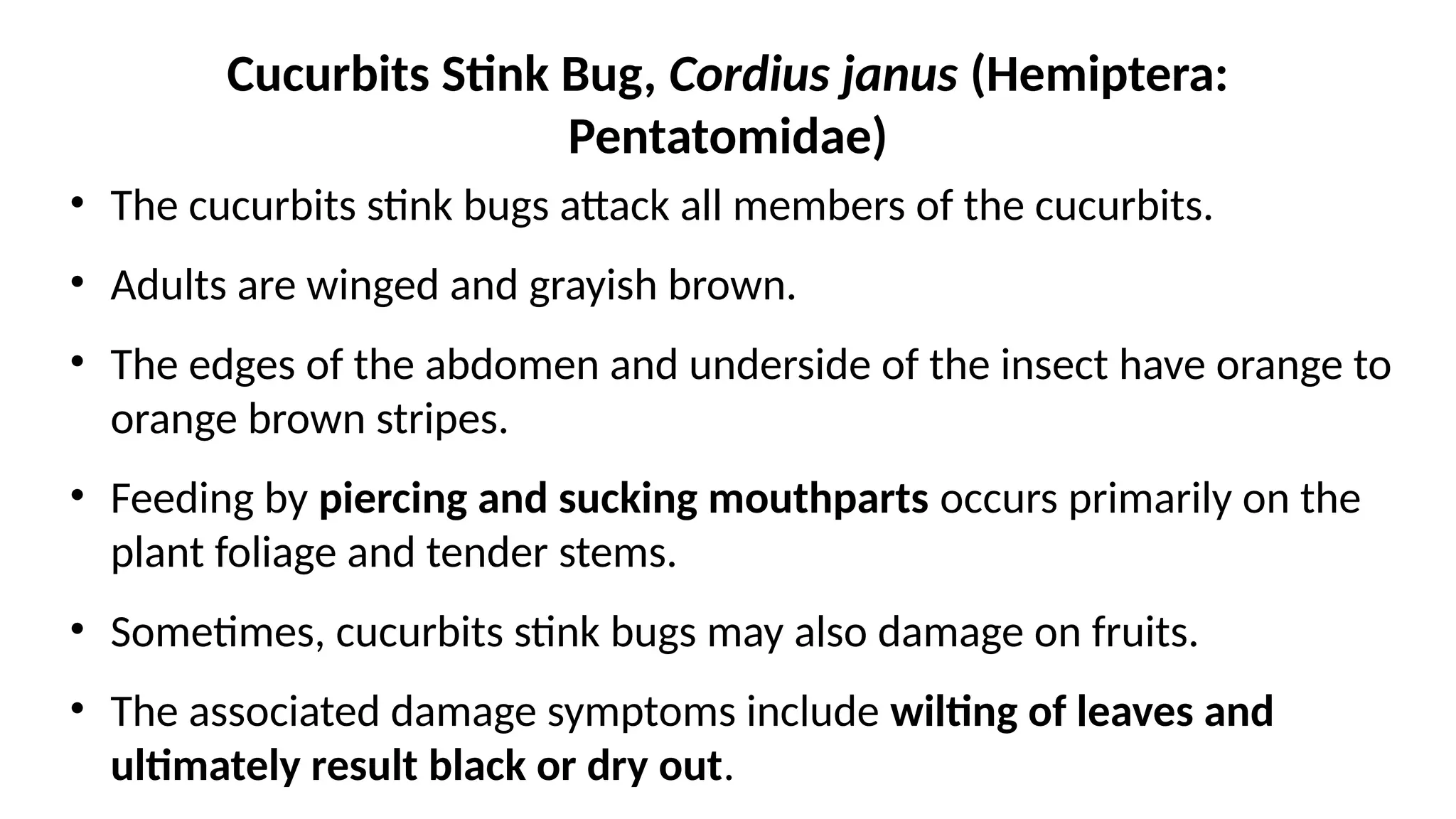 insect of cucurbit vegetables crops.pptx