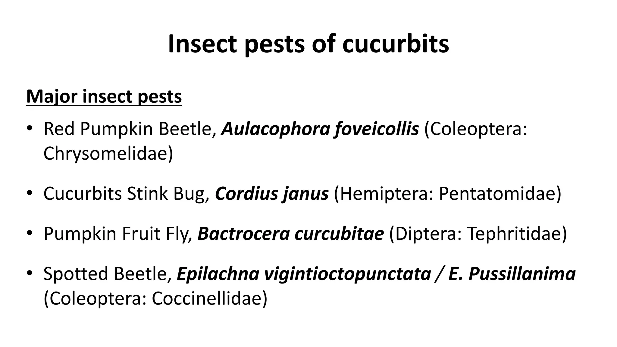 Insect pests of cucurbits | PPTX