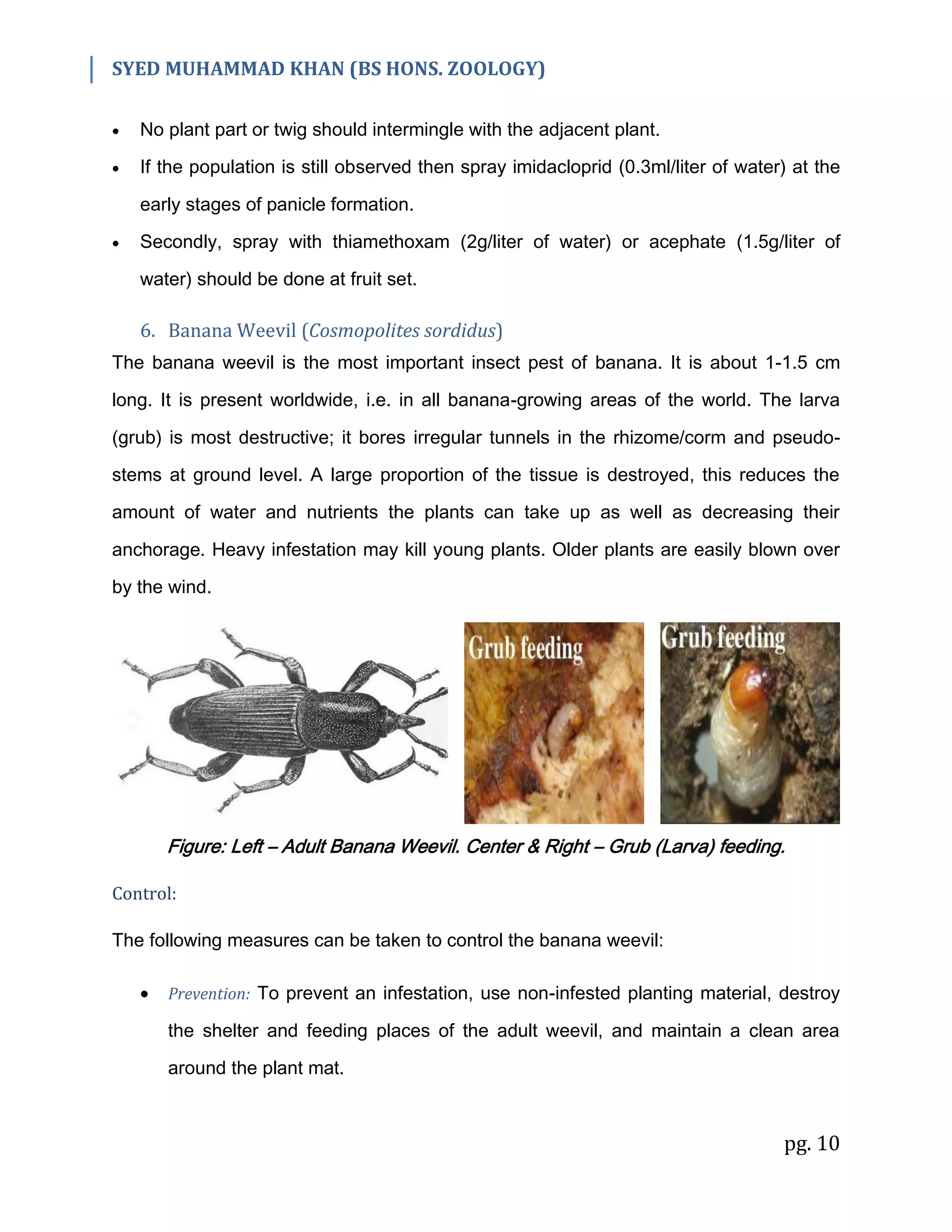 Insect Pests of Fruits | PDF