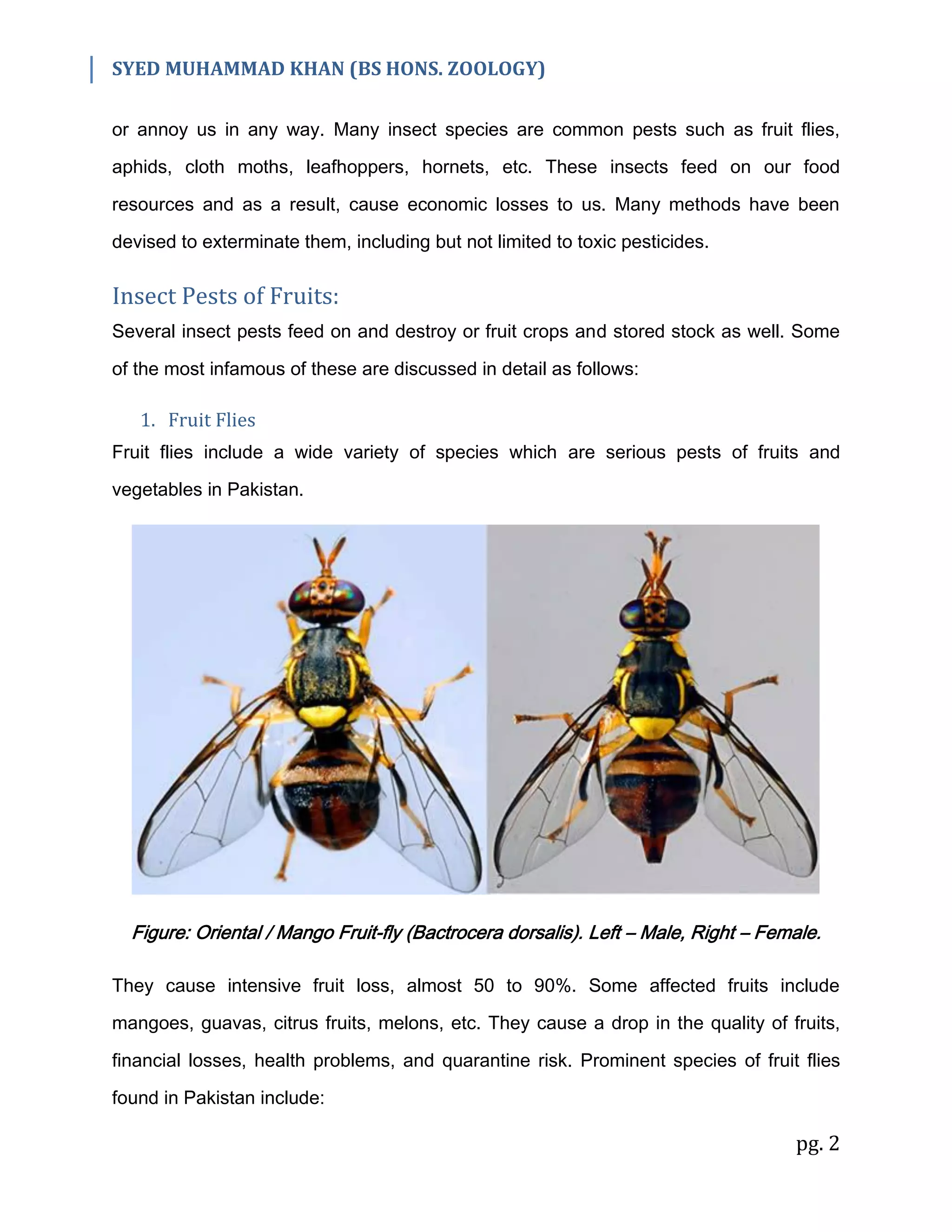 Insect Pests of Fruits | PDF