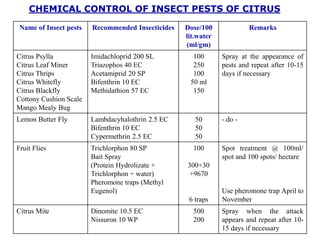 Insect Pests of Fruits which causesd serious damage to fruits | PPT