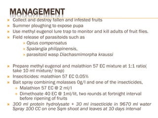 Insect Pests of Fruits which causesd serious damage to fruits | PPT