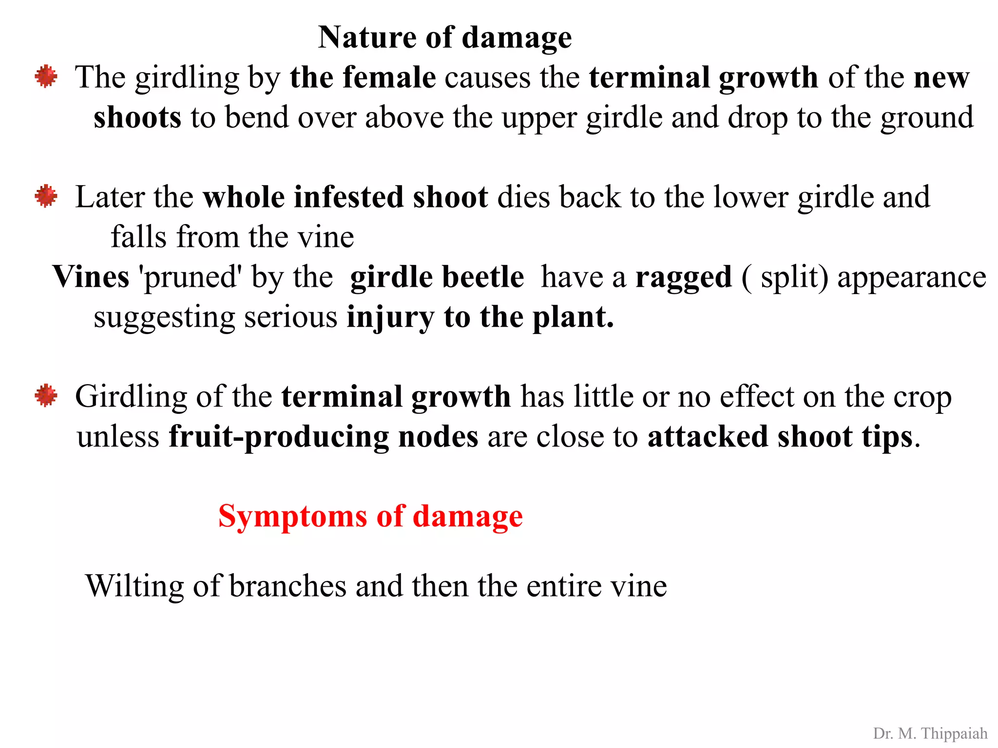 Insect pests of grapes | PDF
