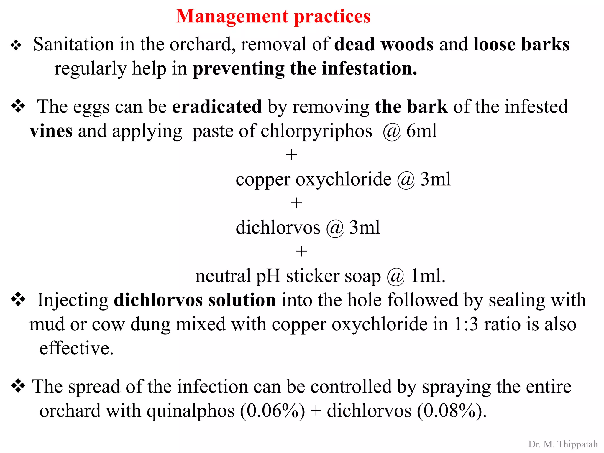 Insect pests of grapes | PDF