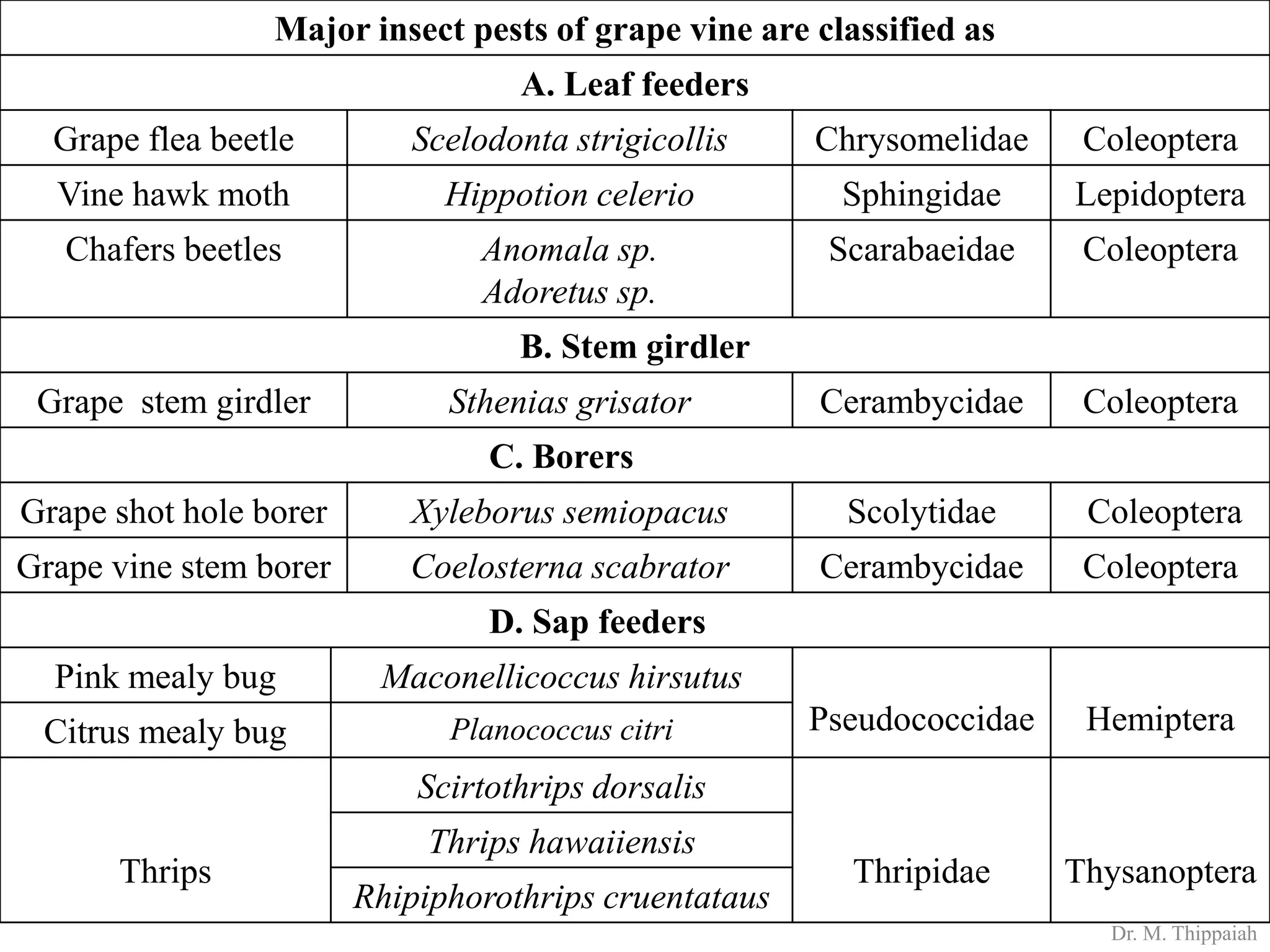 Insect pests of grapes | PDF
