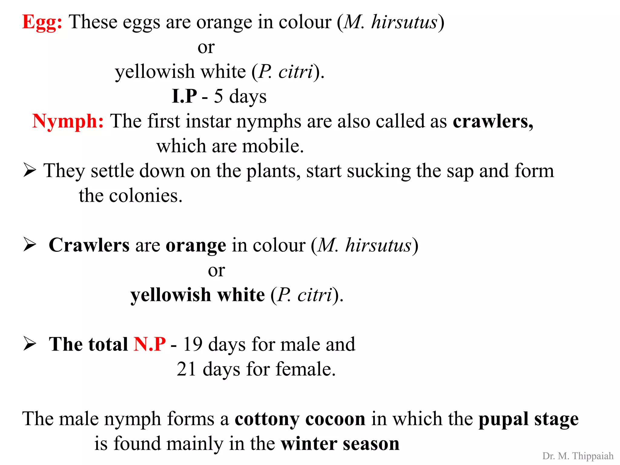 Insect pests of grapes | PDF