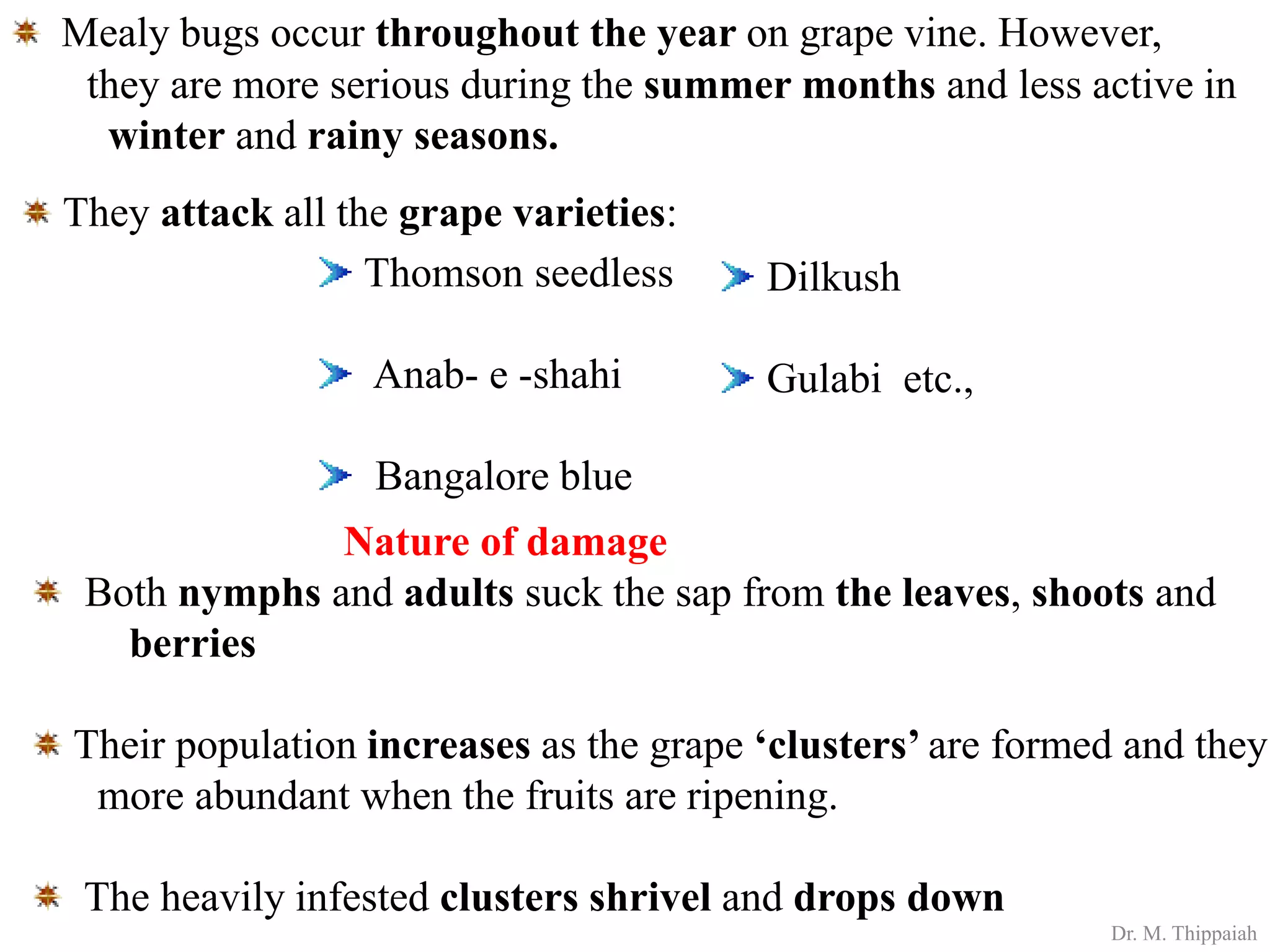 Insect pests of grapes | PDF