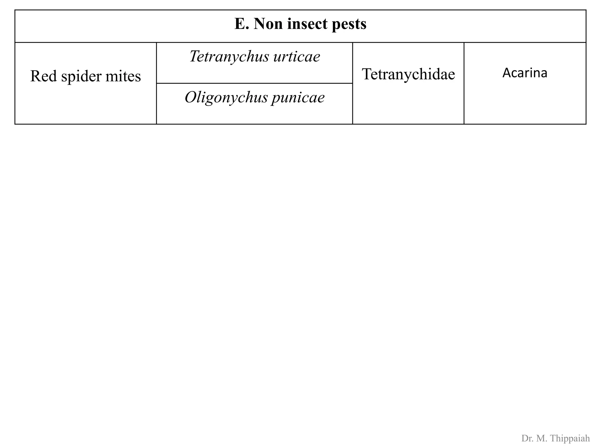 Insect pests of grapes | PDF