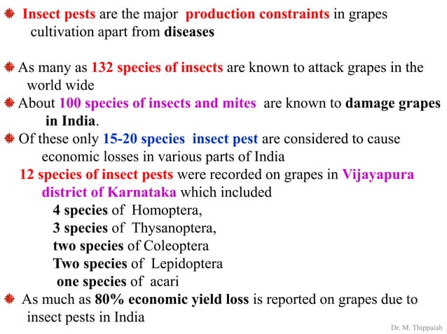 Insect pests of grapes | PDF