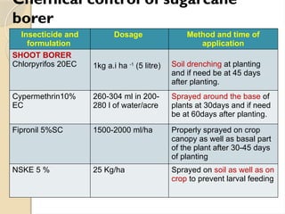 insect pests of grasses family crops.pptx