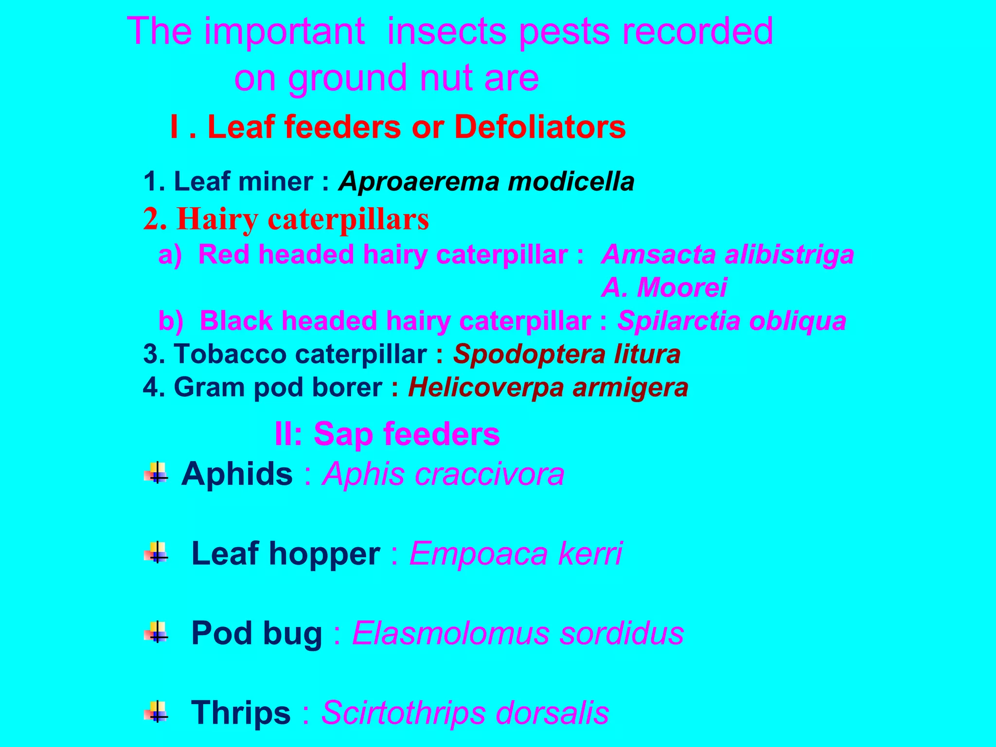Insect pests of ground nut | PPT