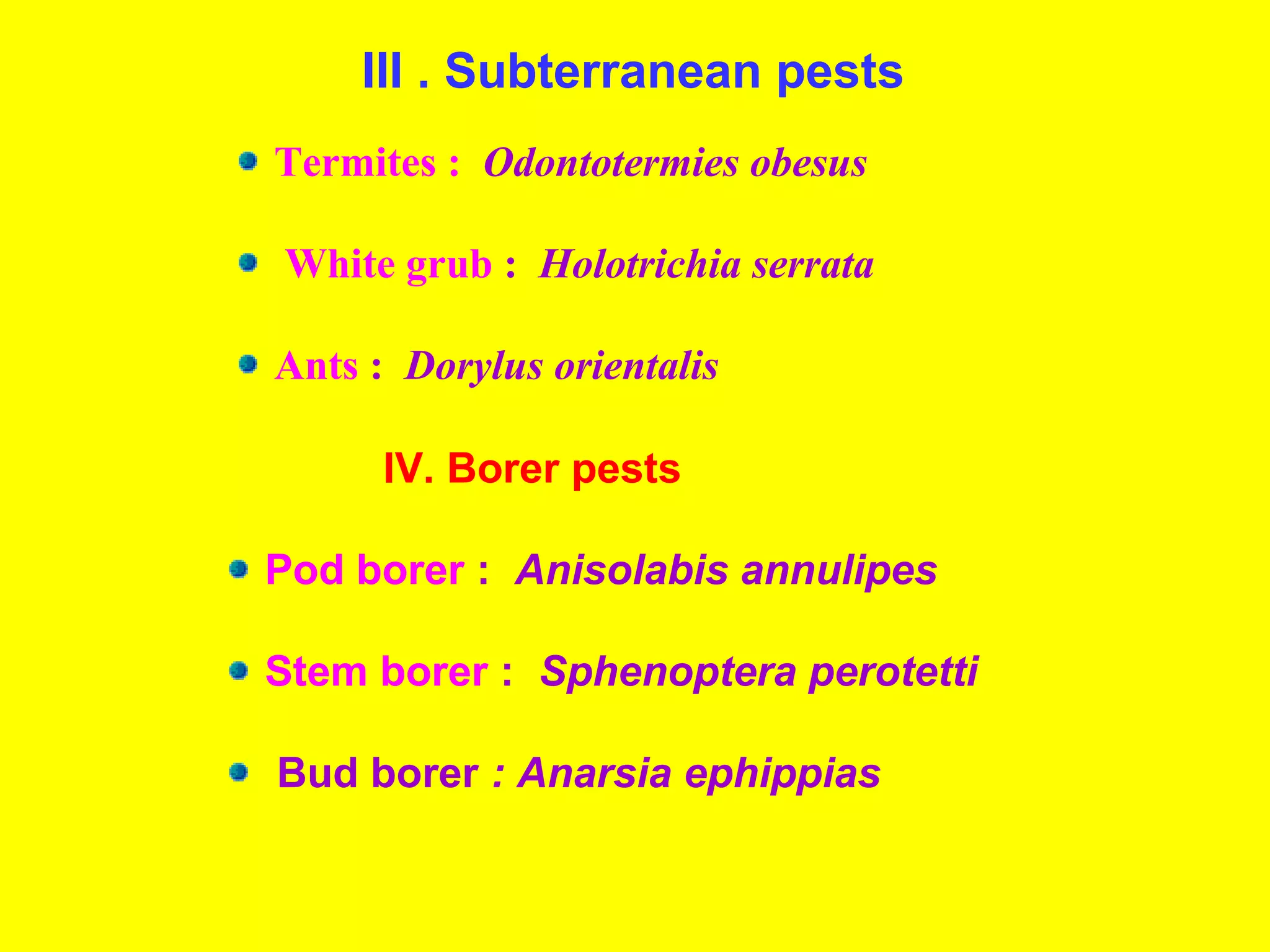 Insect pests of ground nut | PPT