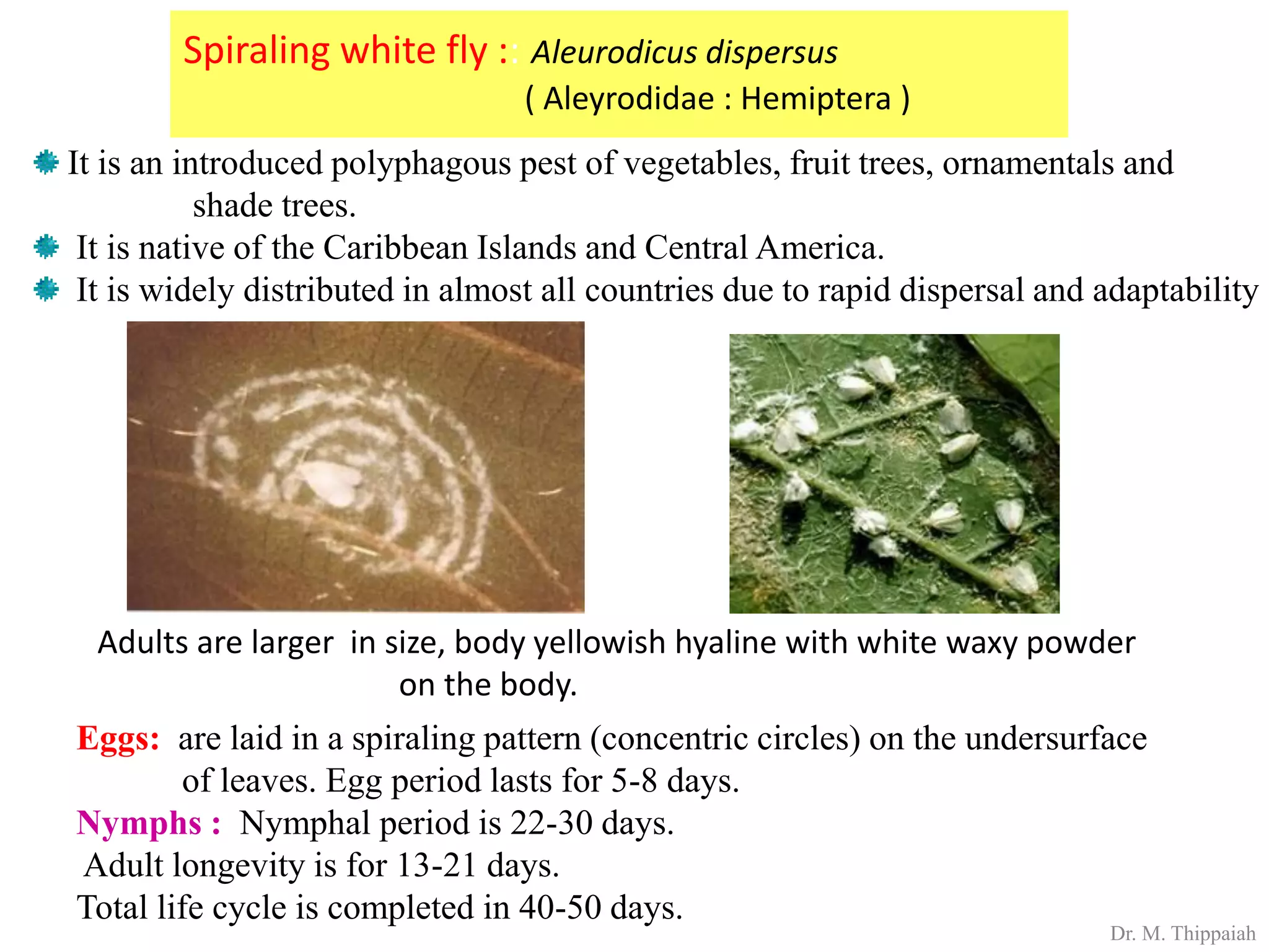 Insect pests of guava and control | PDF