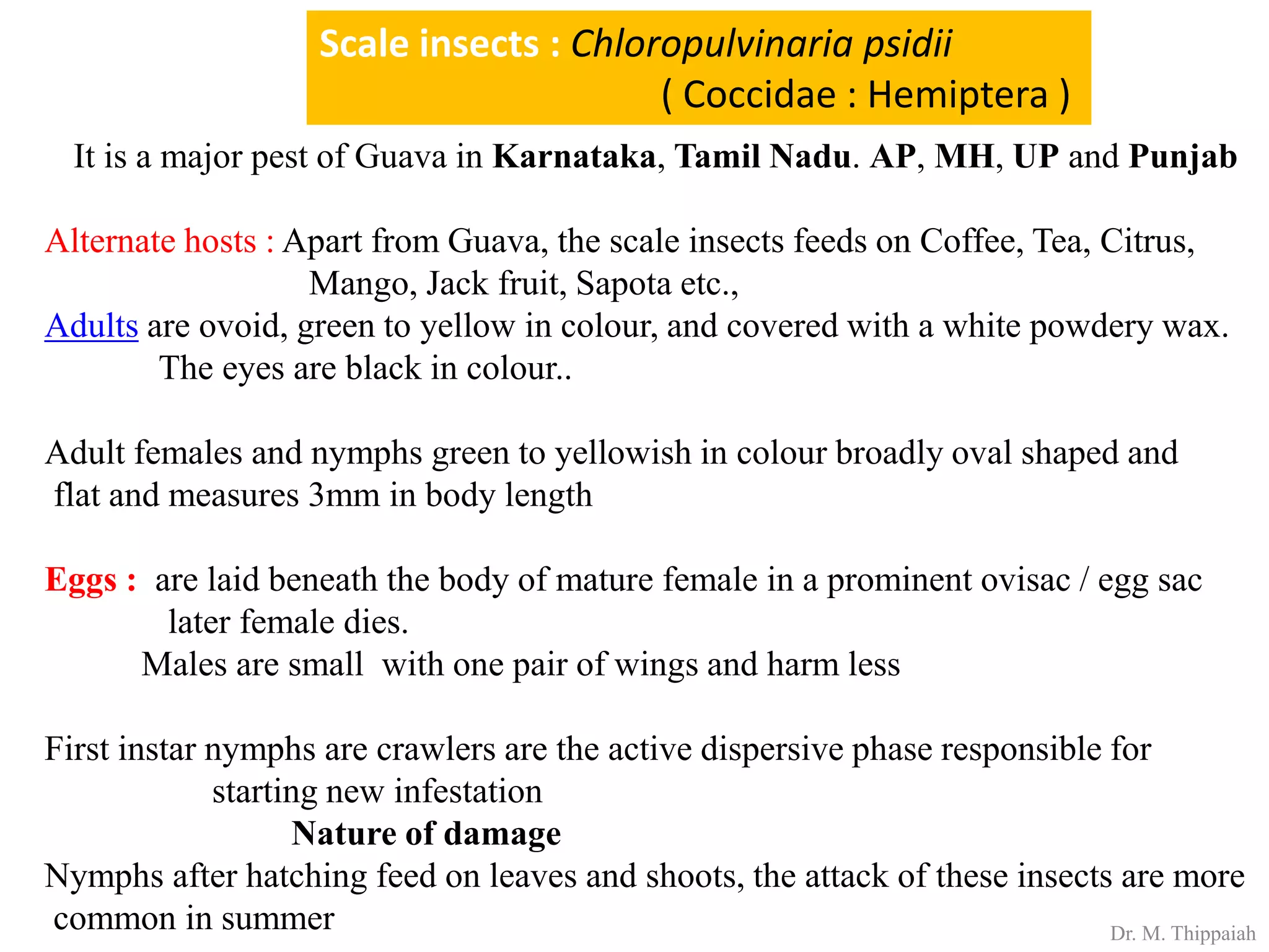 Insect pests of guava and control | PDF