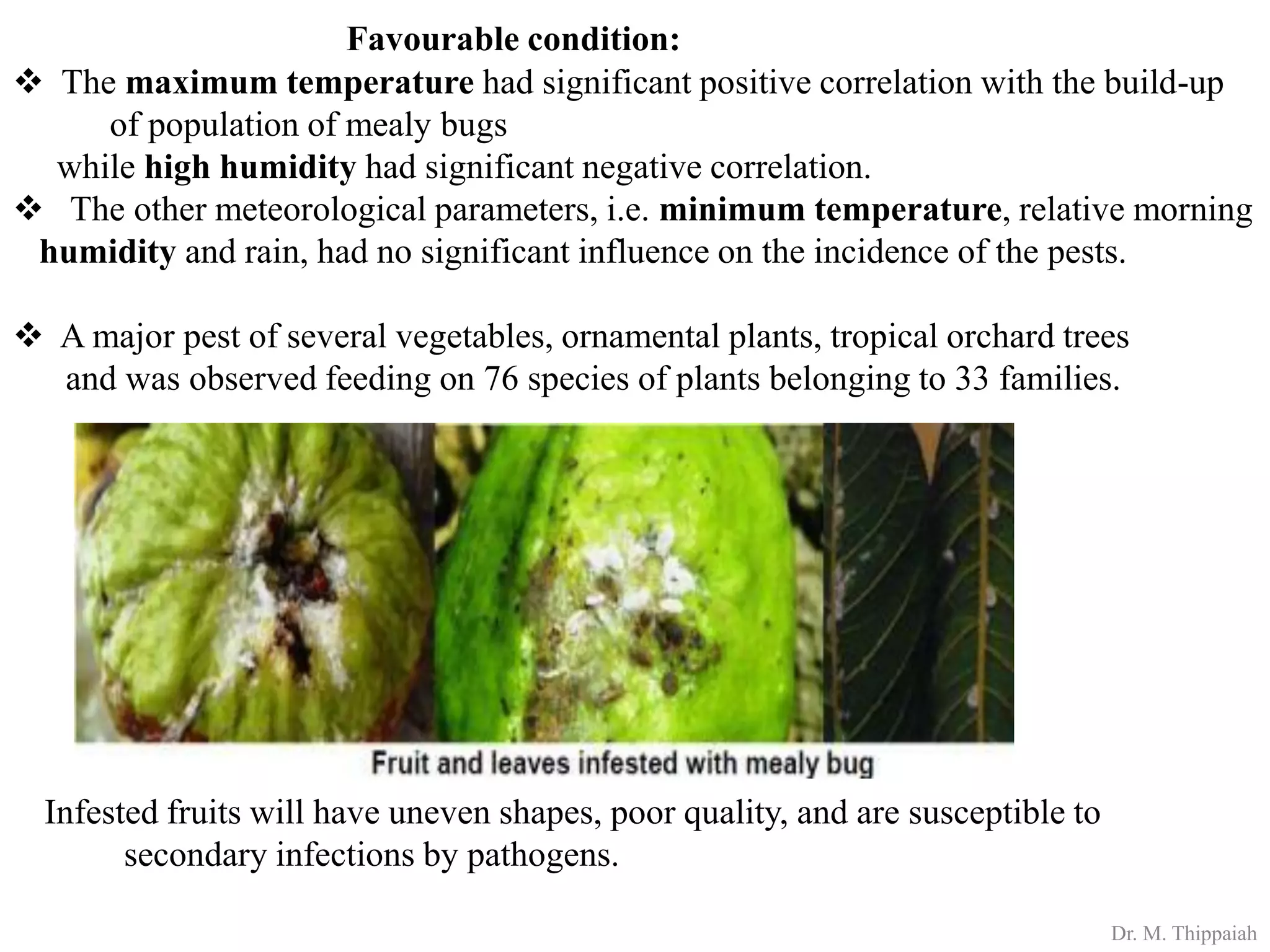 Insect pests of guava and control | PDF