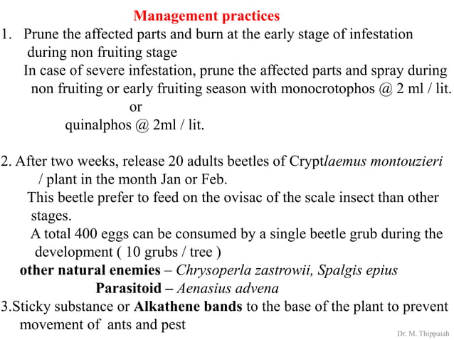 Insect pests of guava and control | PDF