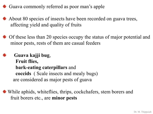 Insect pests of guava and control | PDF