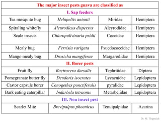 Insect pests of guava and control | PDF