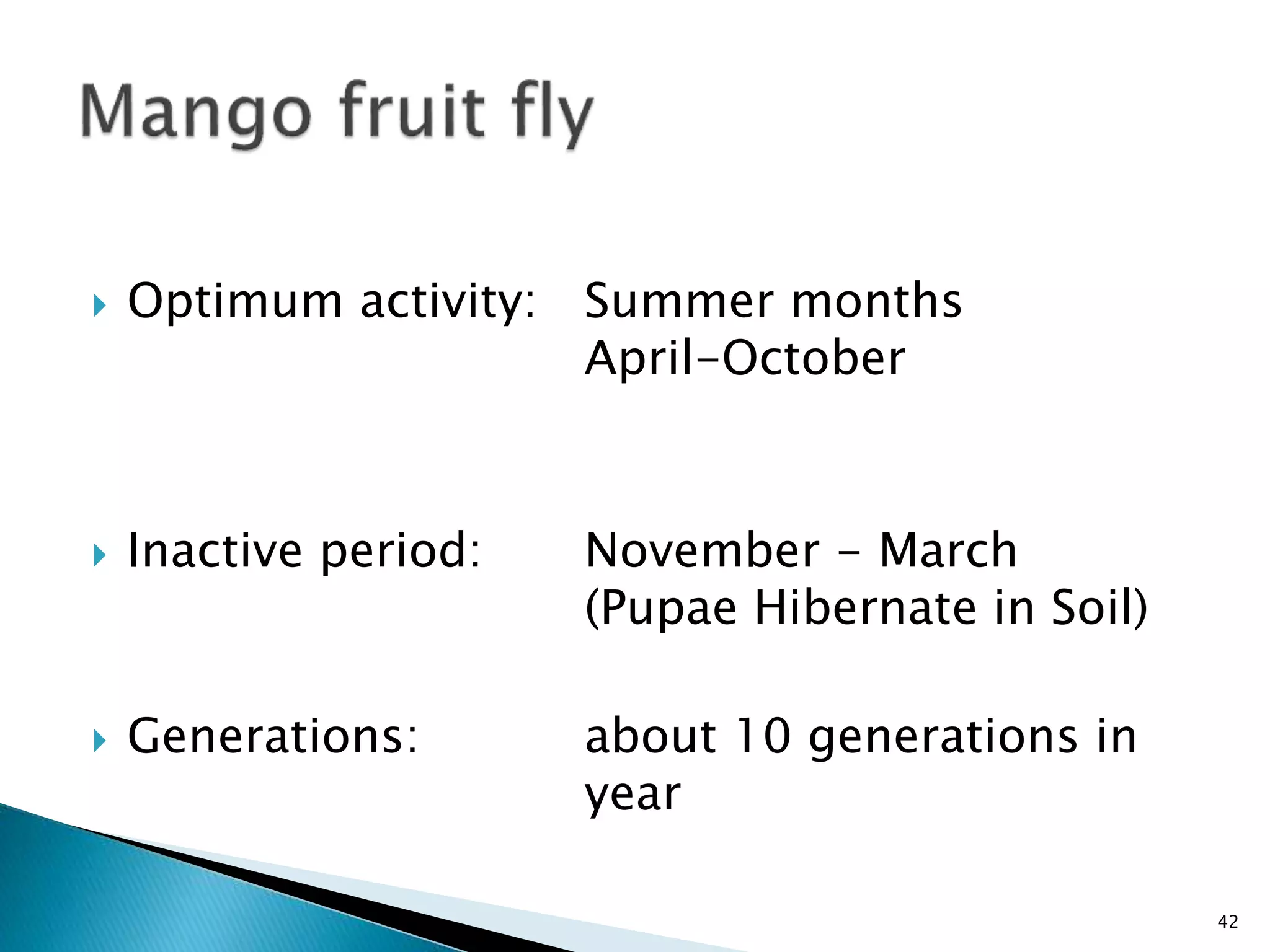 Insect pests of mango Pakistan Leaf Hoppers Mango Mealy Bug Mango ...