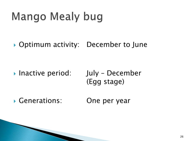 Insect pests of mango Pakistan Leaf Hoppers Mango Mealy Bug Mango Fruitfly Infloresence Midge ...