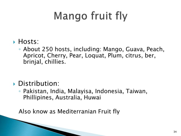 Insect pests of mango Pakistan Leaf Hoppers Mango Mealy Bug Mango ...