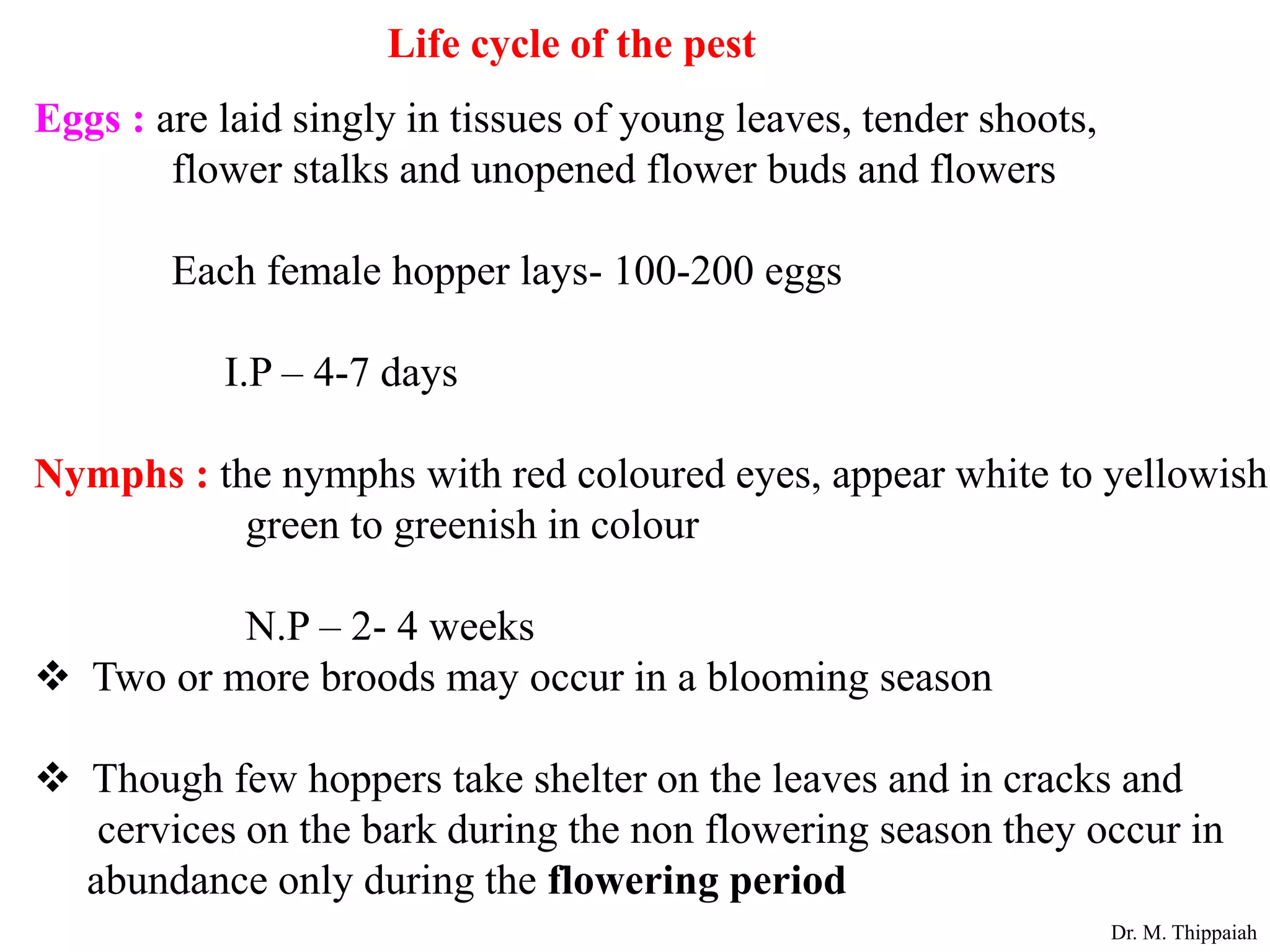 Insect pests of mango | PDF