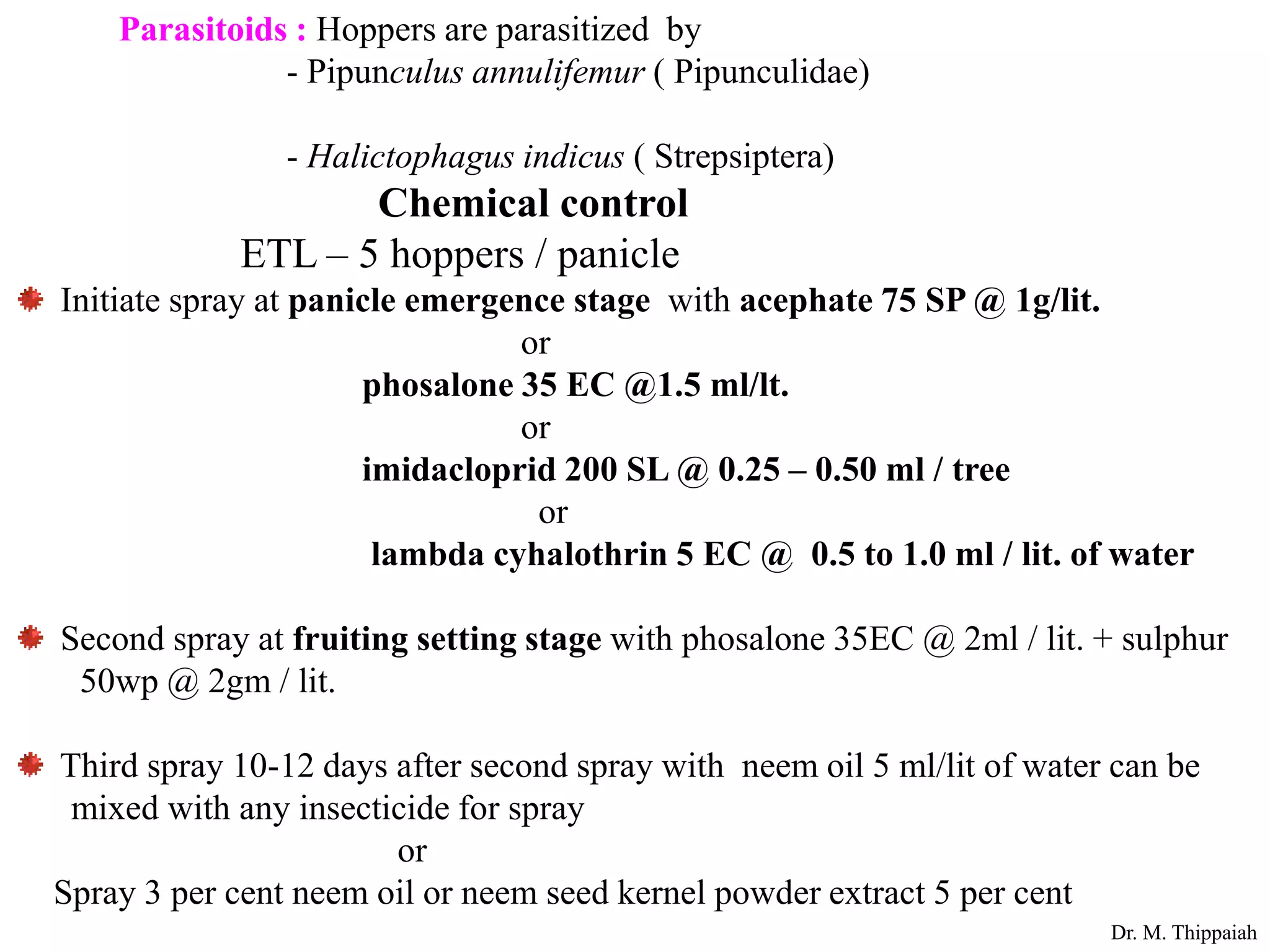 Insect pests of mango | PDF